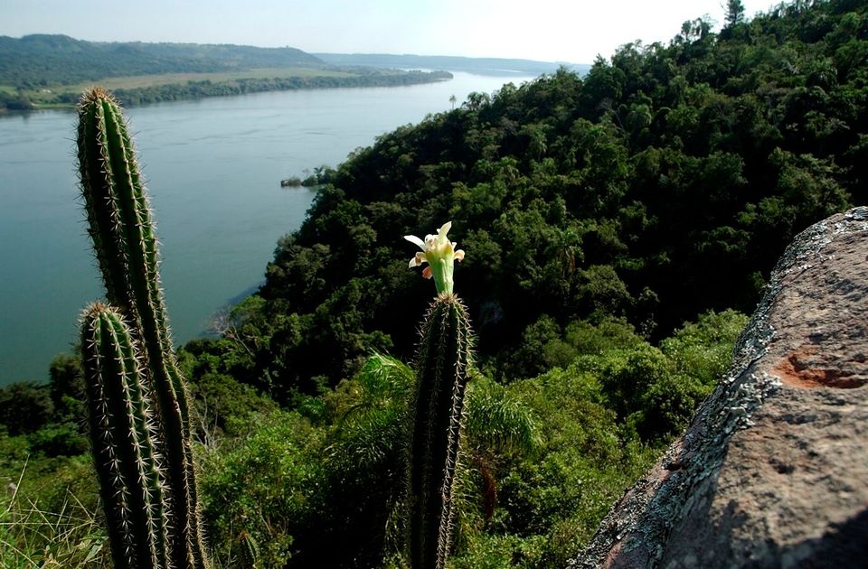 Se presentaron inversiones para el Parque Teyú Cuaré - Agencia de ...