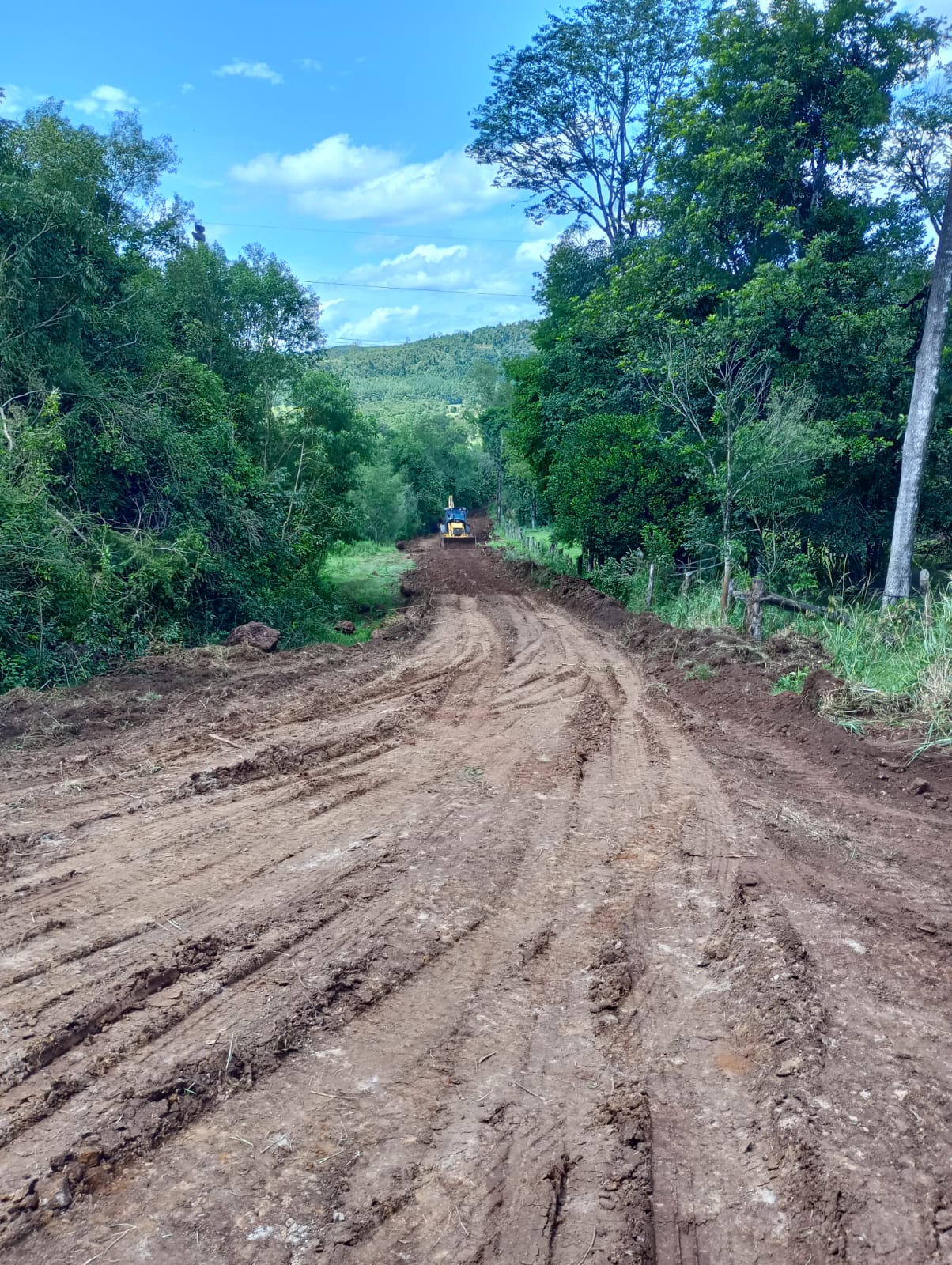 Colonia Alberdi: apertura de un nuevo camino vecinal impulsa la ...