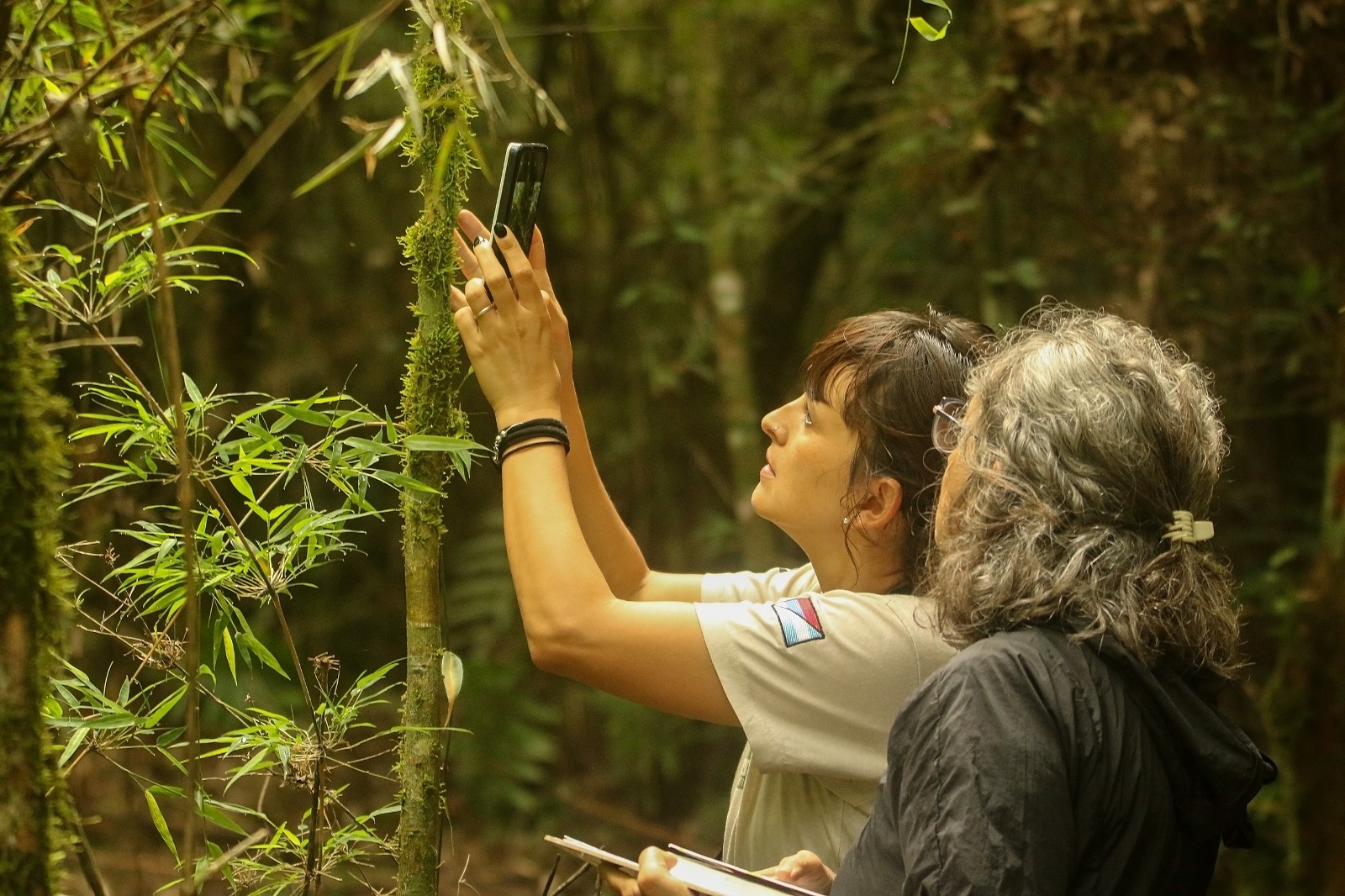 Colonia Alberdi: Intensa actividad del Club de Observadores de Aves en ...